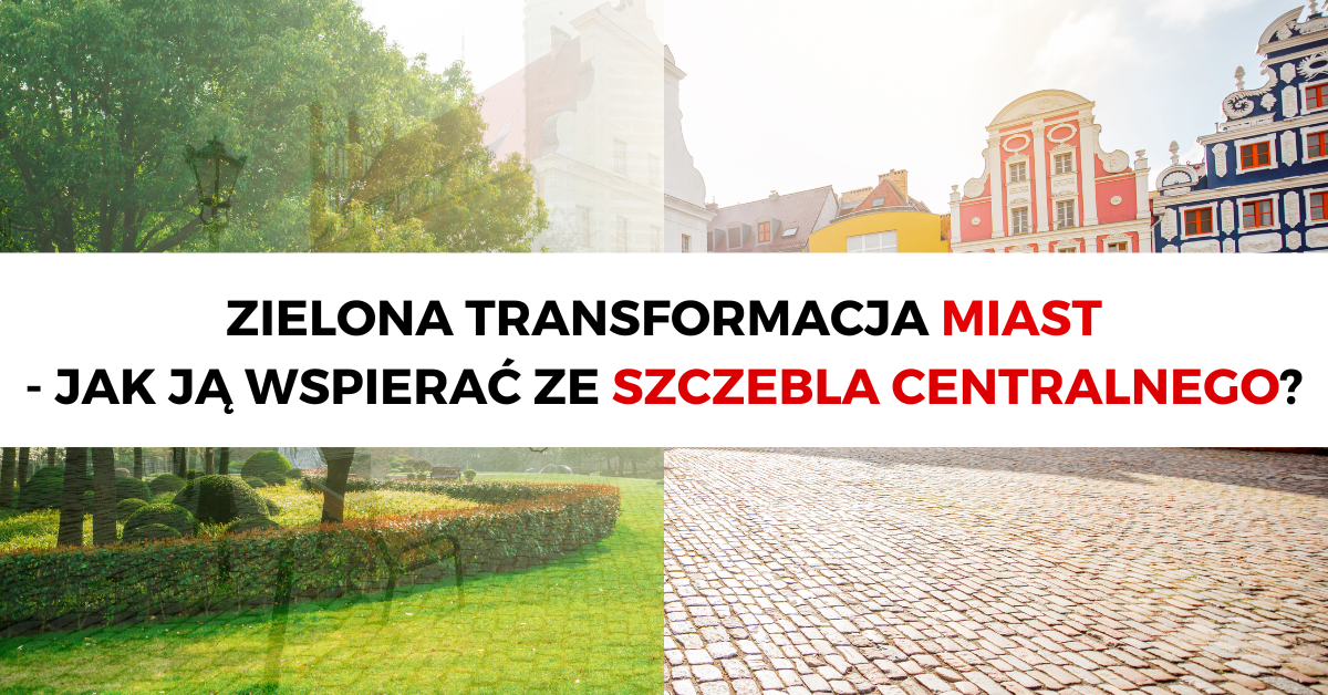Zielona transformacja miast – jak skutecznie wspierać ich rozwój ze ...
